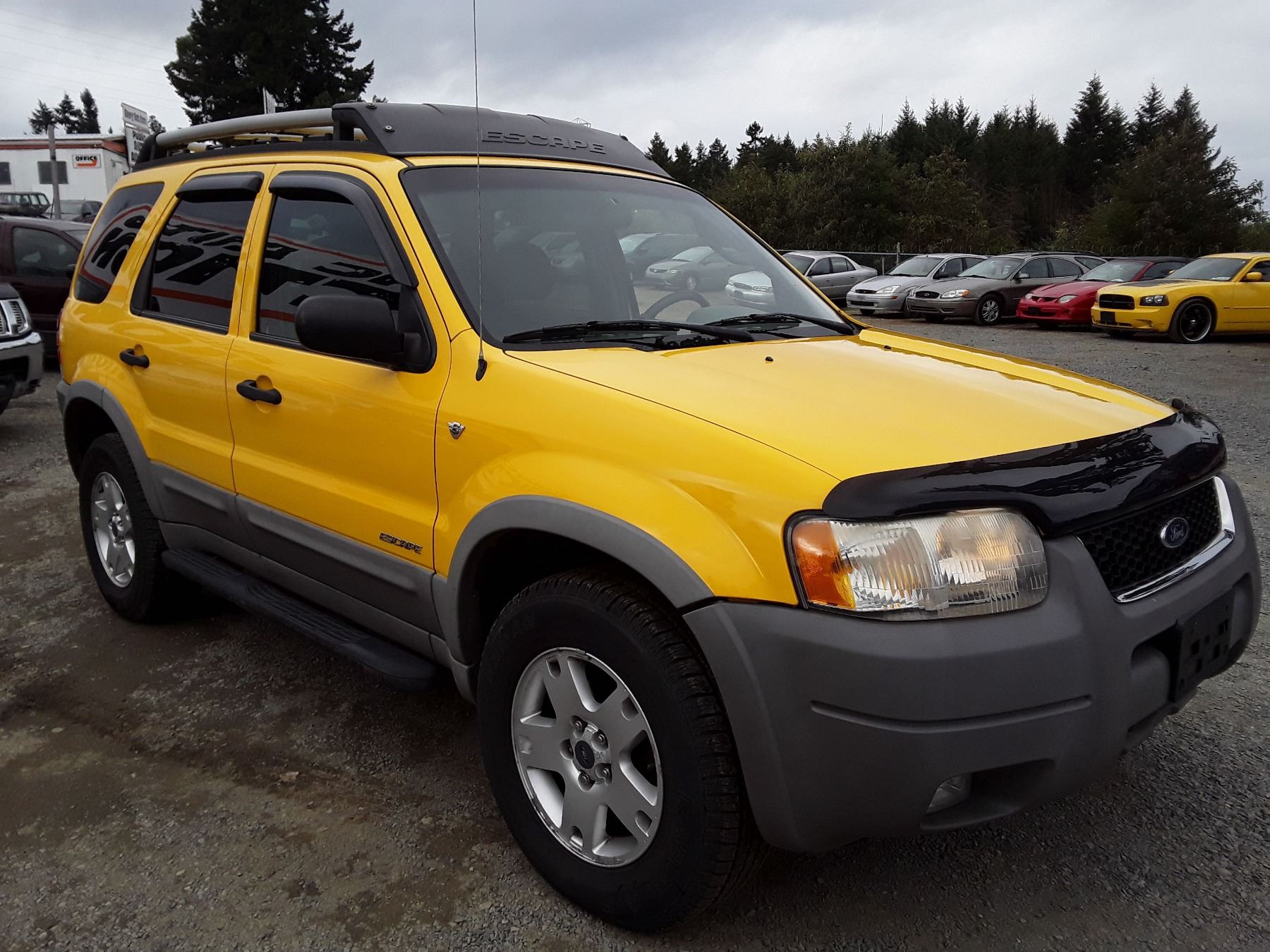 A2 -- 2002 FORD ESCAPE XLT , Yellow , 224460 KM's - No Rreserve
