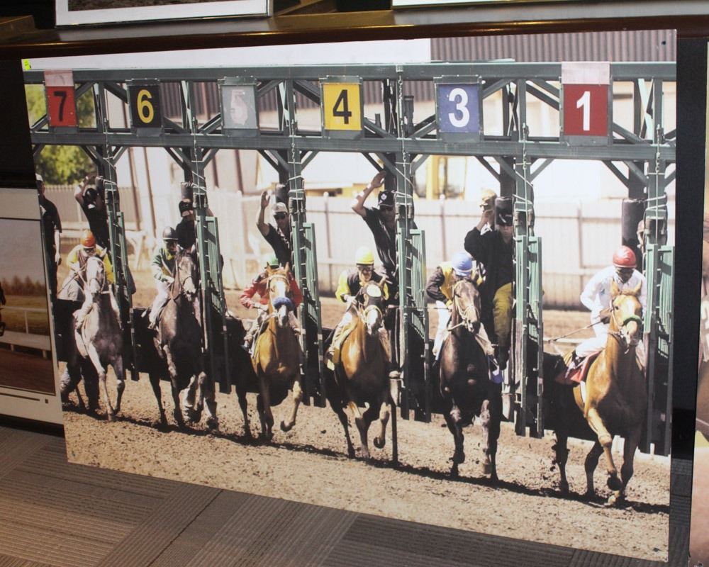 LARGE AT THE GATE MOUNTED POSTER