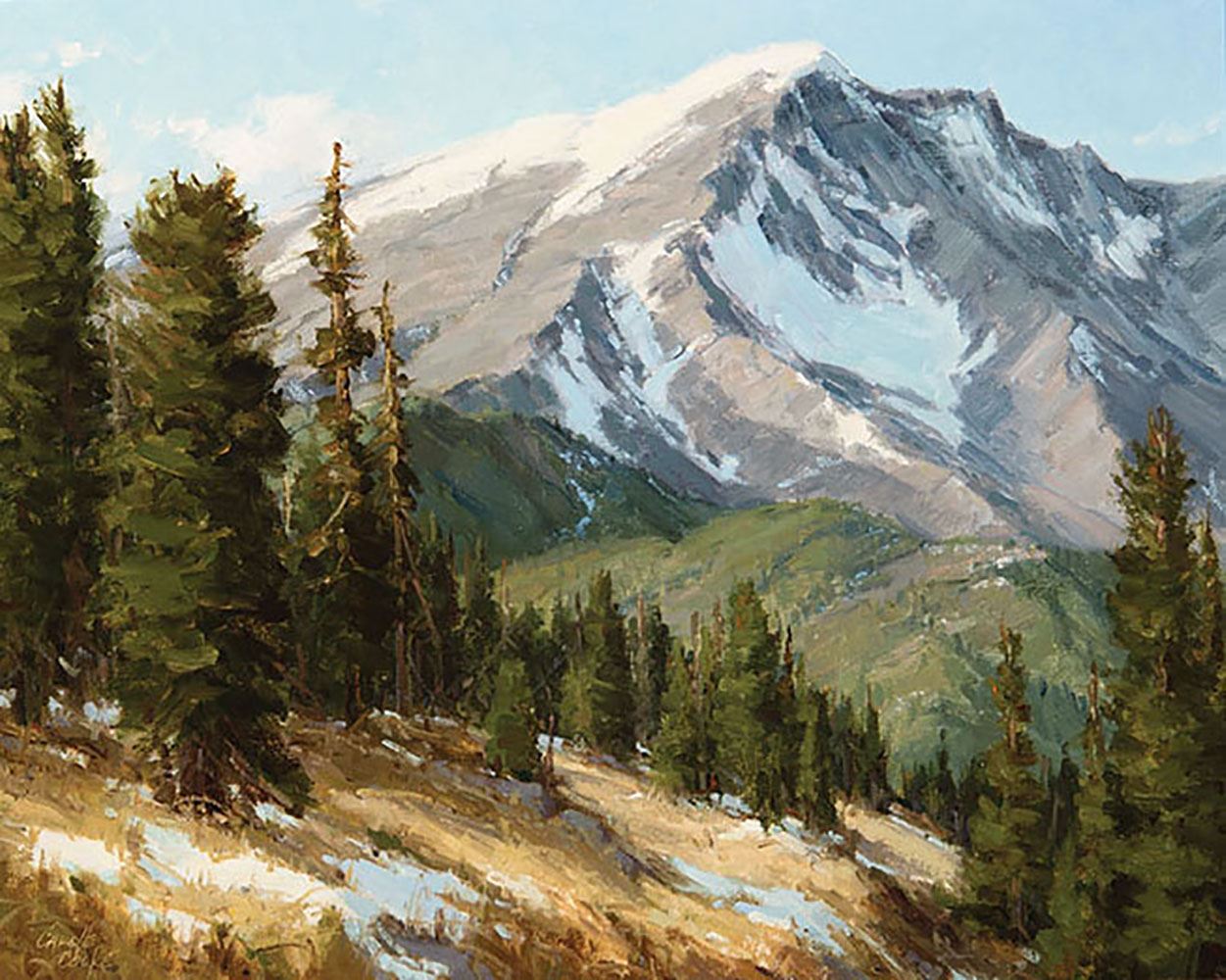 Carole Cooke-Sunlight & Shadow