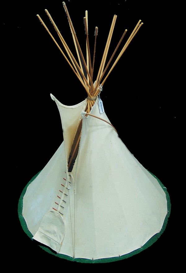 Model Tipi Display