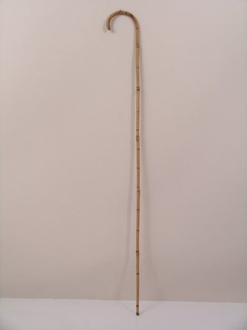 Beautiful Creatures Macon Ravenwood (Jeremy Irons) Cane Movie Props