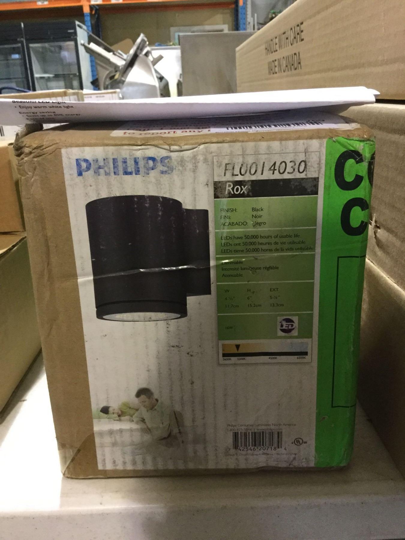 Philips Rox LED Indoor/Outdoor Wall Light