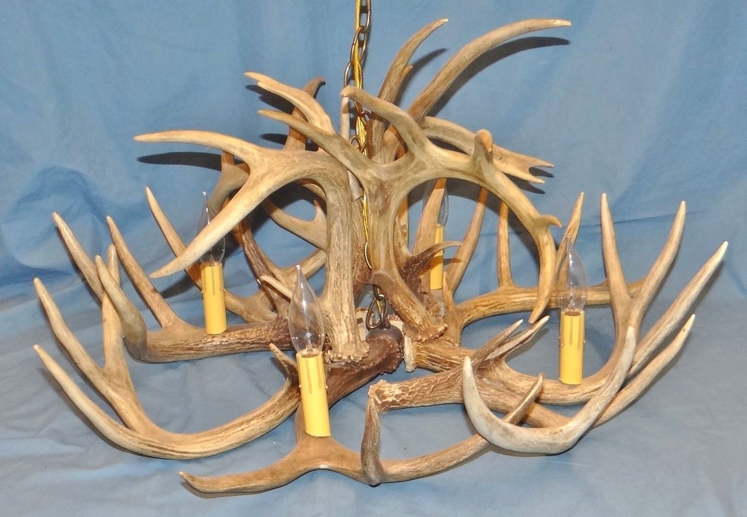 Deer antler hanging light fixture, 41 lights, 28" w x 15" h