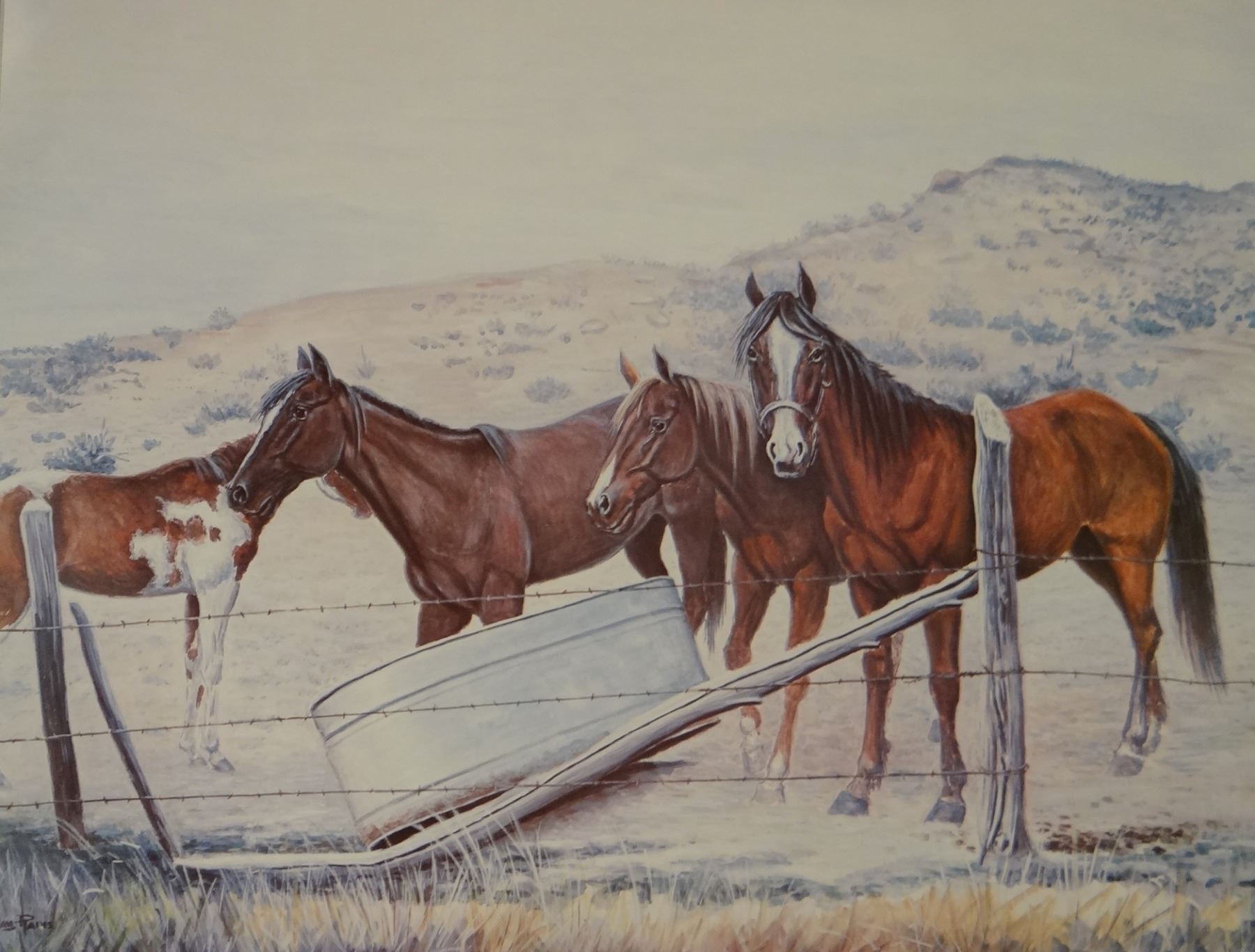 Rains, William framed print, Thirsty, 18 x 24, 795/1000