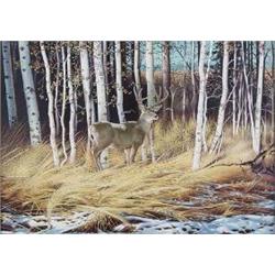 Don Hummel, Oil on Canvas