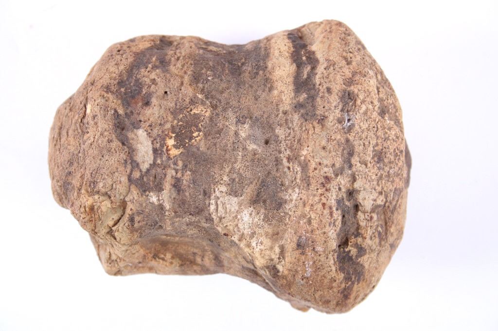 Ancient Native American Stone Axe and Hammer Heads