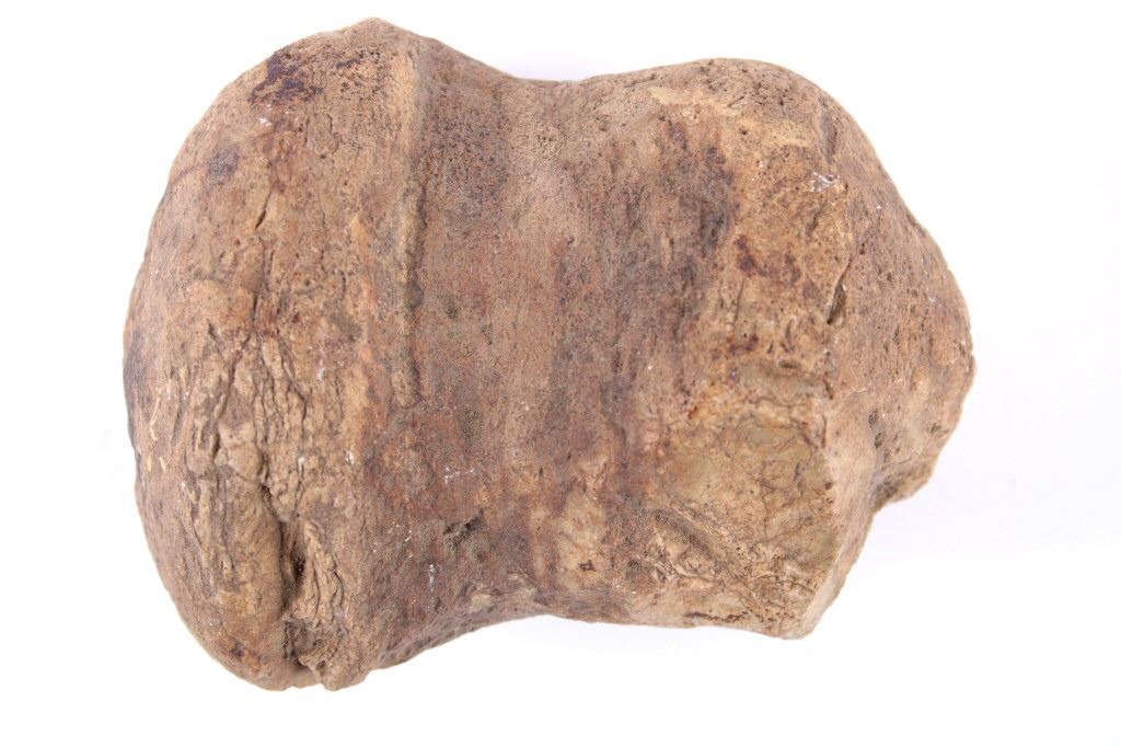 Ancient Native American Stone Axe and Hammer Heads