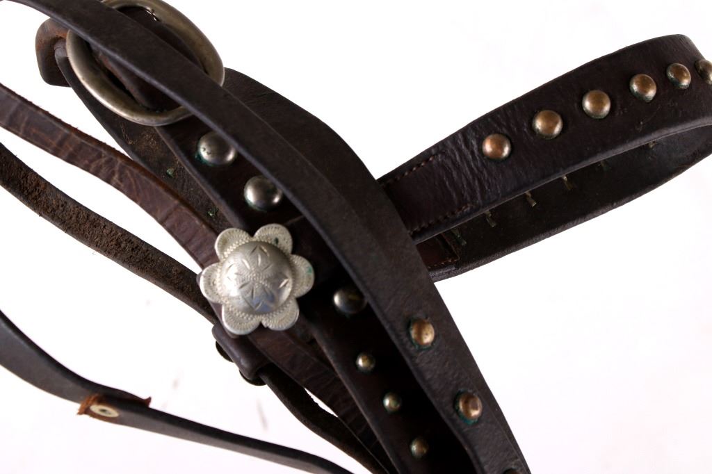 Crockett Curb Bit with Studded Headstall and Reins