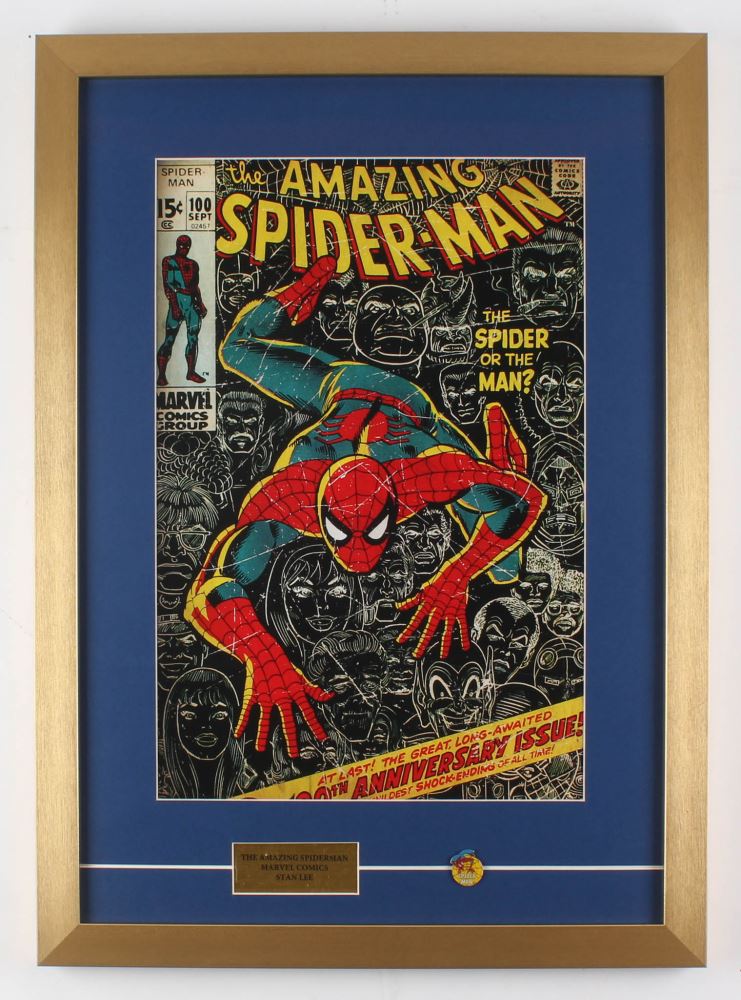 The Amazing Spider-Man 18x25 Custom Framed Comic Book Print Display ...