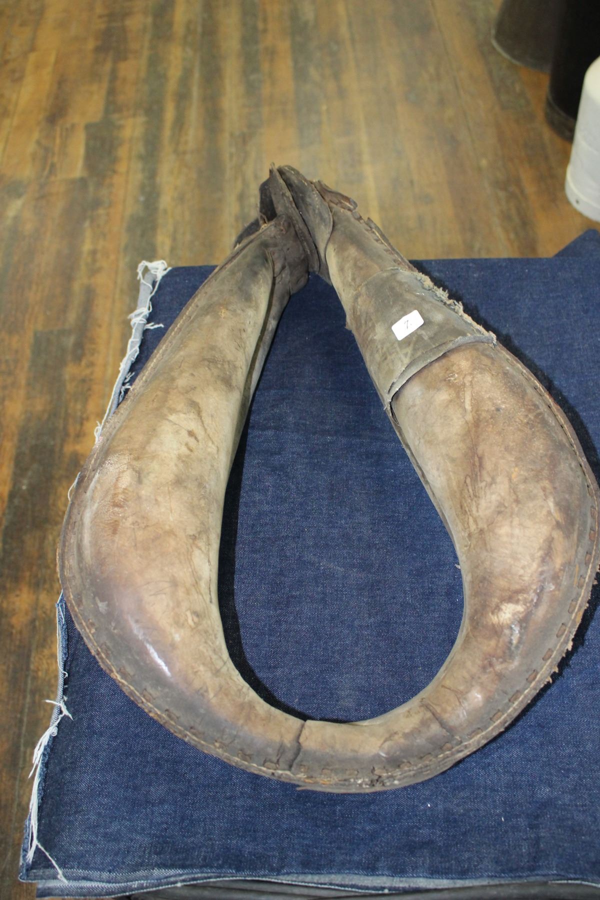 Old Horse Collar
