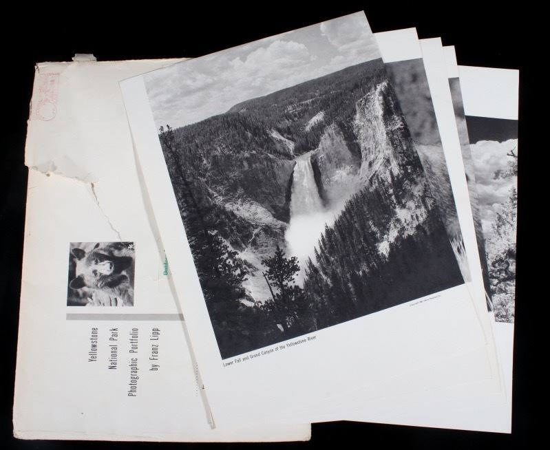 Yellowstone Park Photo Portfolio by Franz Lipp