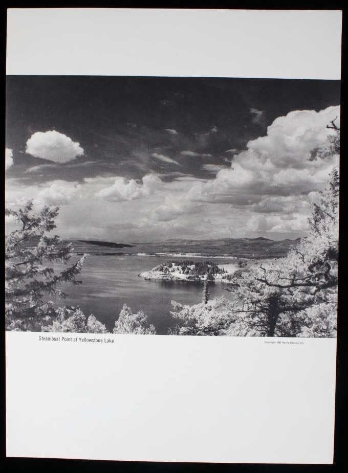 Yellowstone Park Photo Portfolio by Franz Lipp