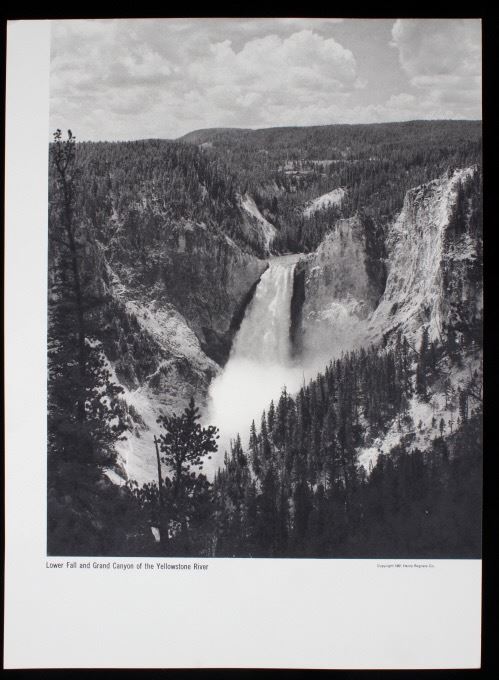 Yellowstone Park Photo Portfolio by Franz Lipp