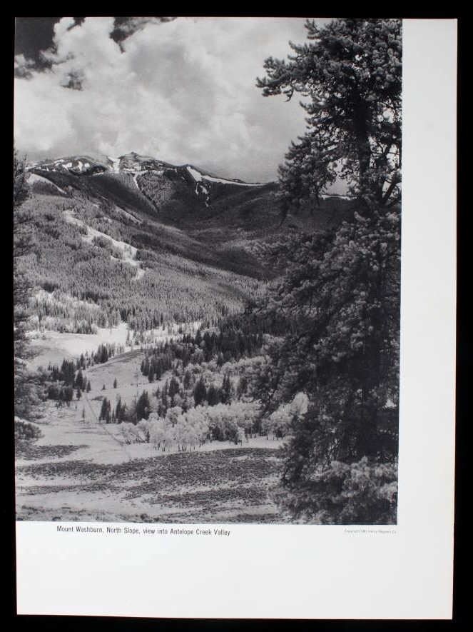Yellowstone Park Photo Portfolio by Franz Lipp