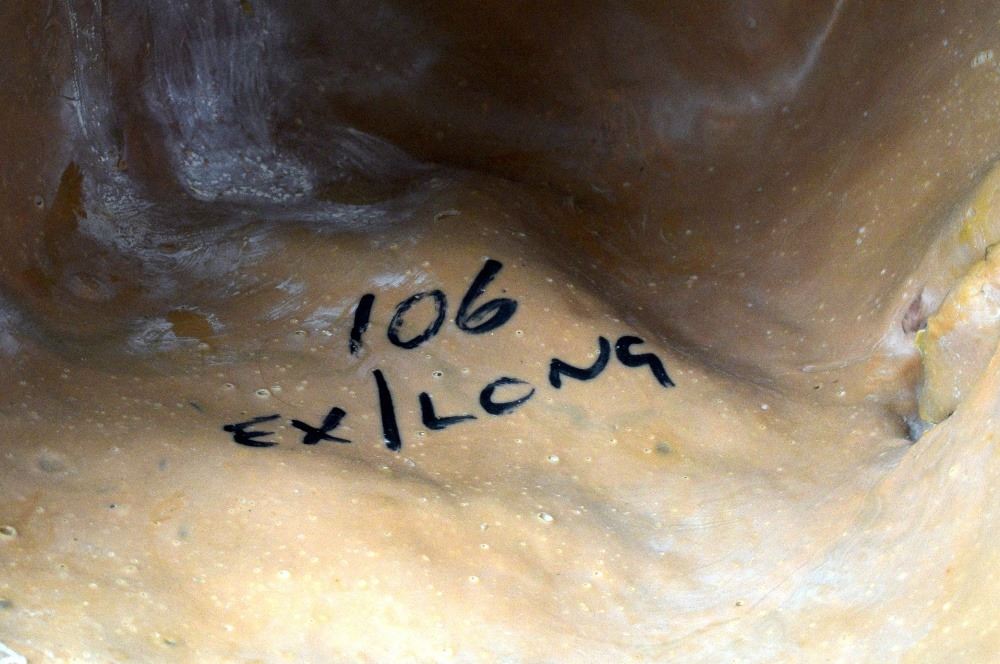 Doctor Who - The Sontaran Experiment (1975), replica Styre Sontaran ...