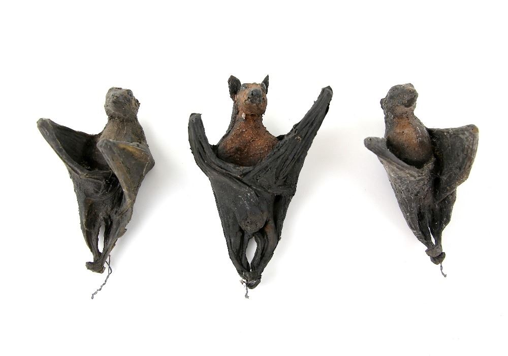 Batman Begins (2015) Three Batcave hanging bats, these prop bats were ...