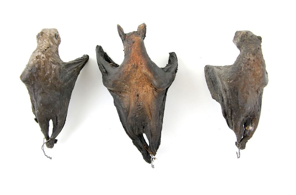 Batman Begins (2015) Three Batcave hanging bats, these prop bats were ...