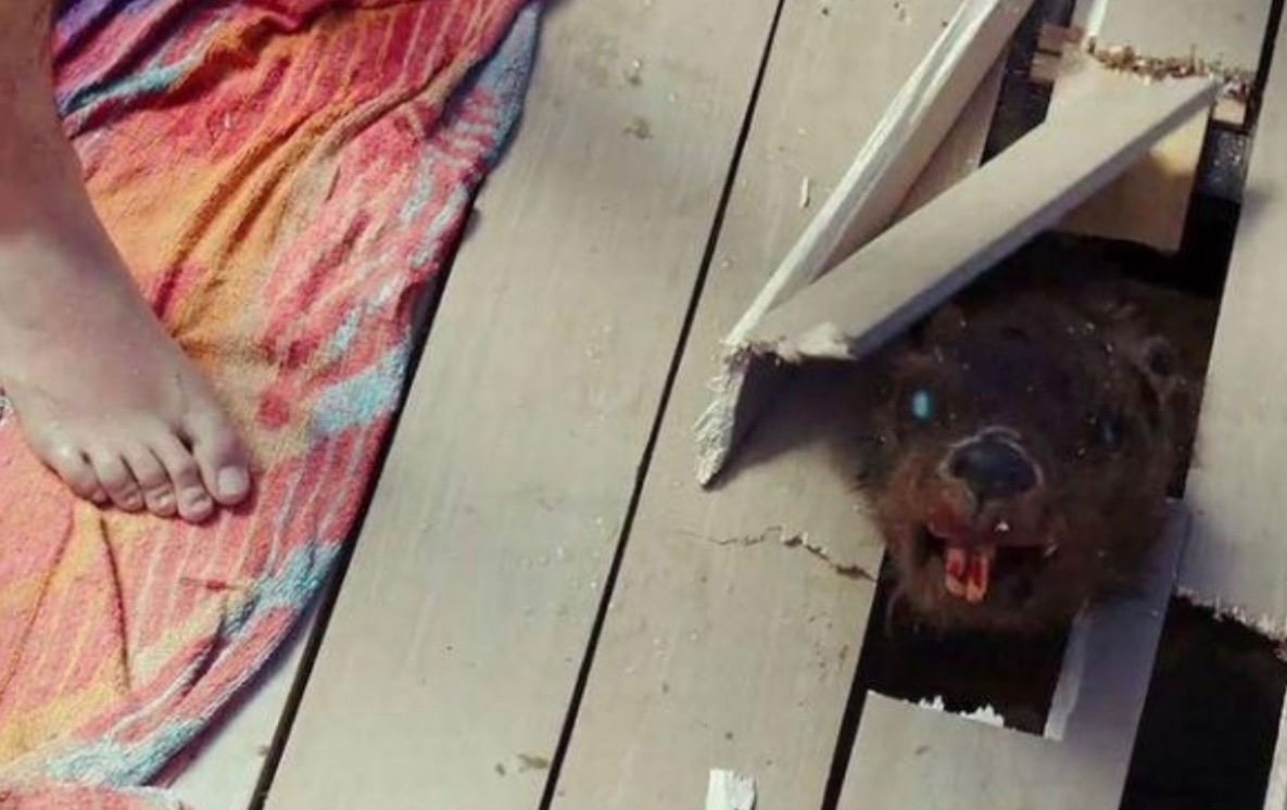 Zombeavers (2014) - Life-Size Zombie Beaver