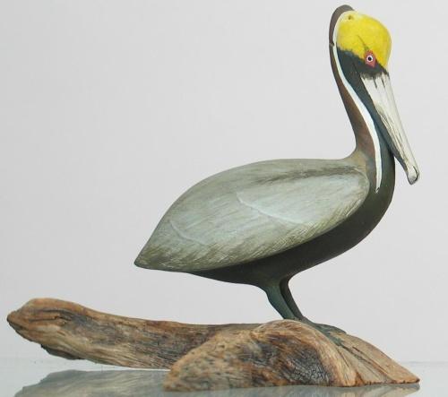 VERY RARE miniature brown pelican with raised win