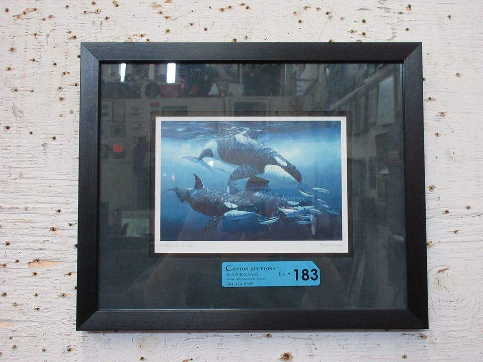 Bruce Muir Framed Orca Print - Millbanke Sound