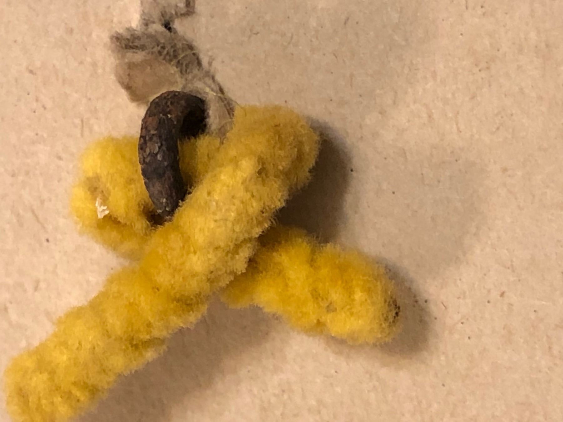 George Washington Inaugural Button - RARE!