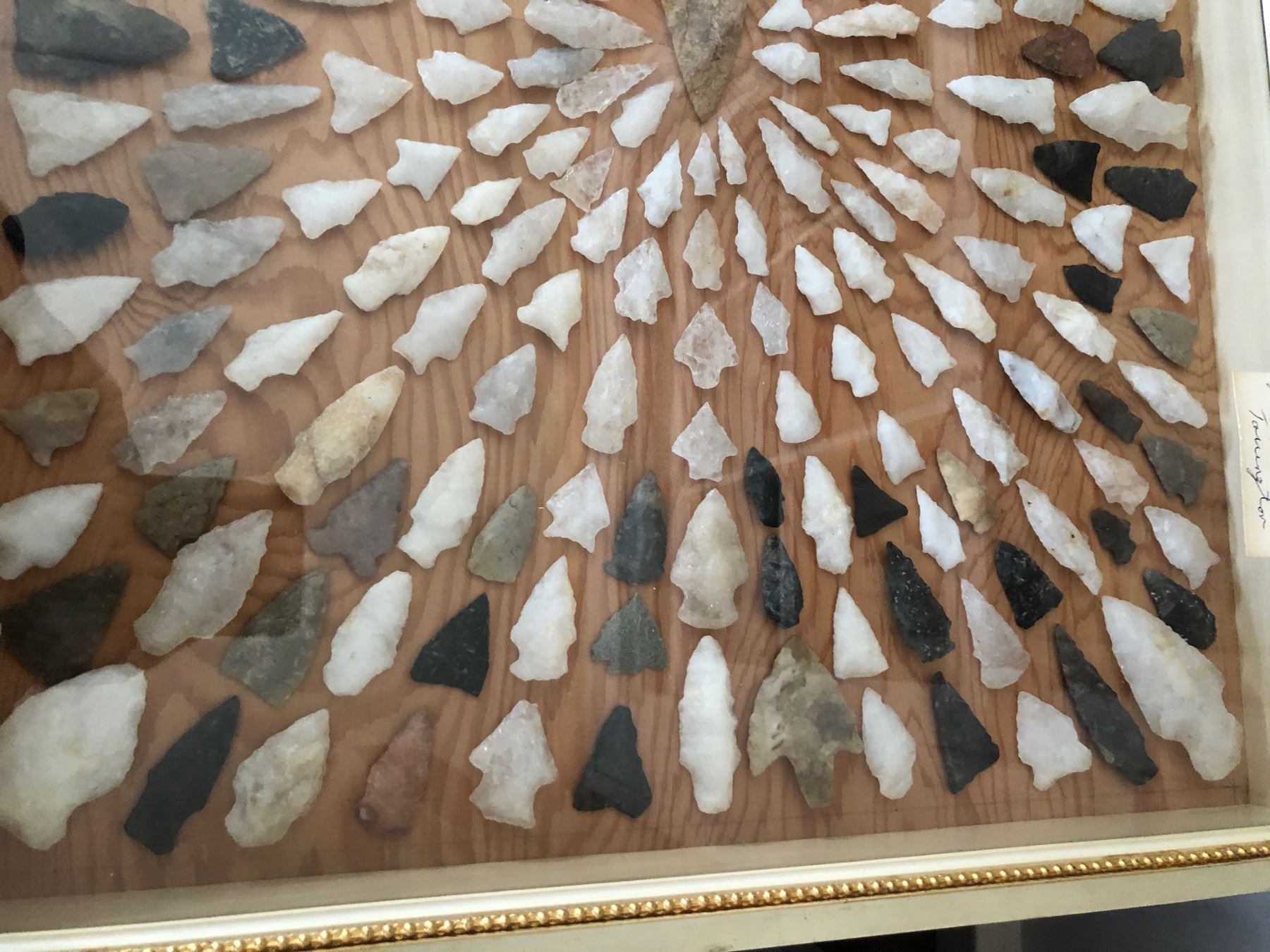 Native American Arrowhead Collection