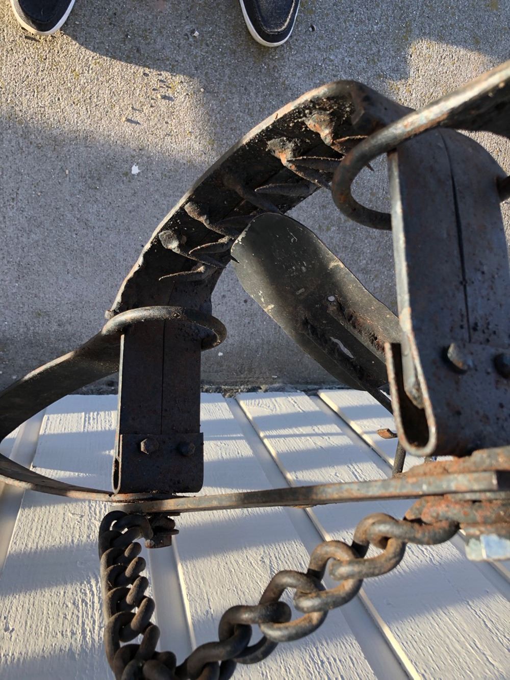 Antique Bear Trap