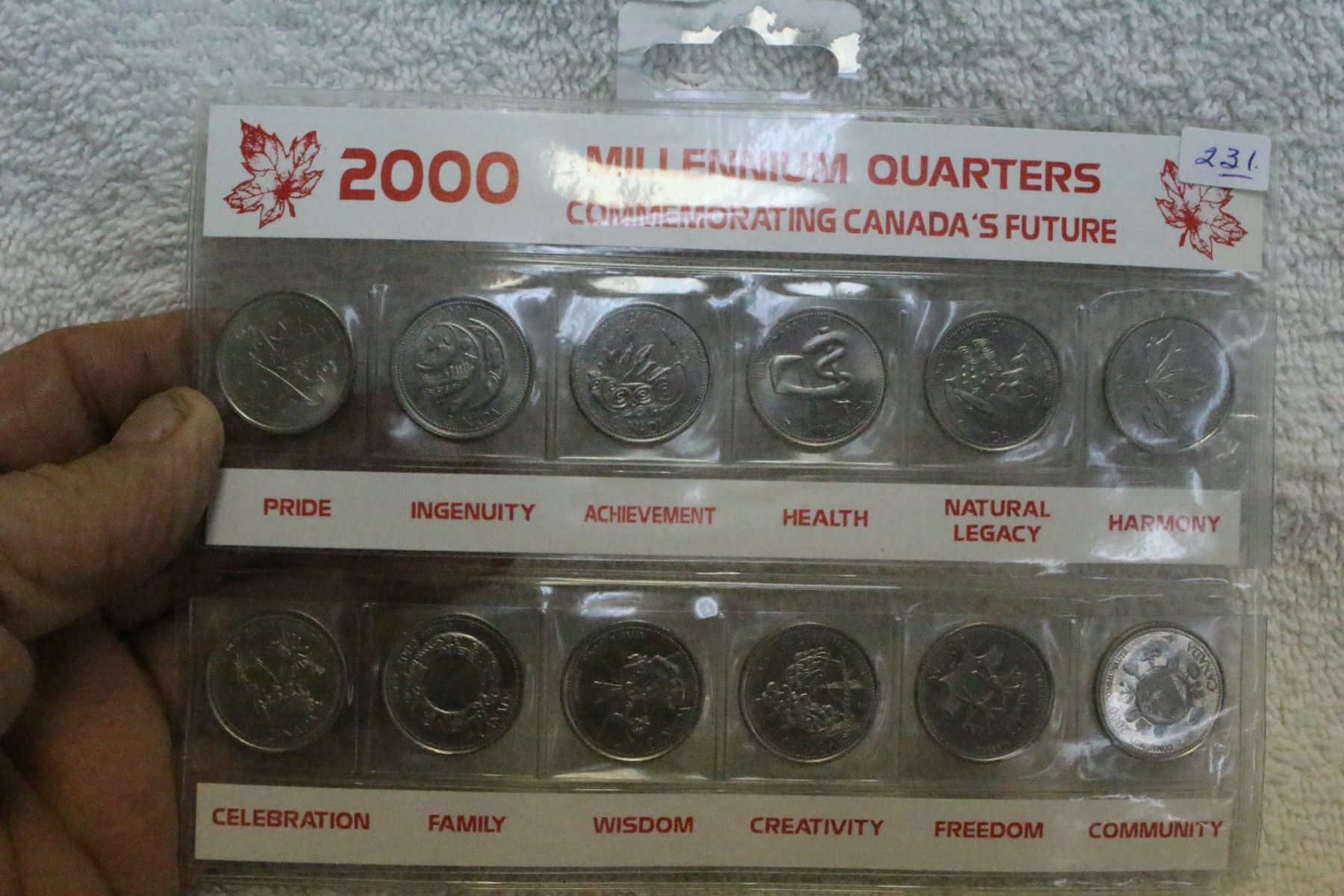 Canada Millennium Quarters (12)