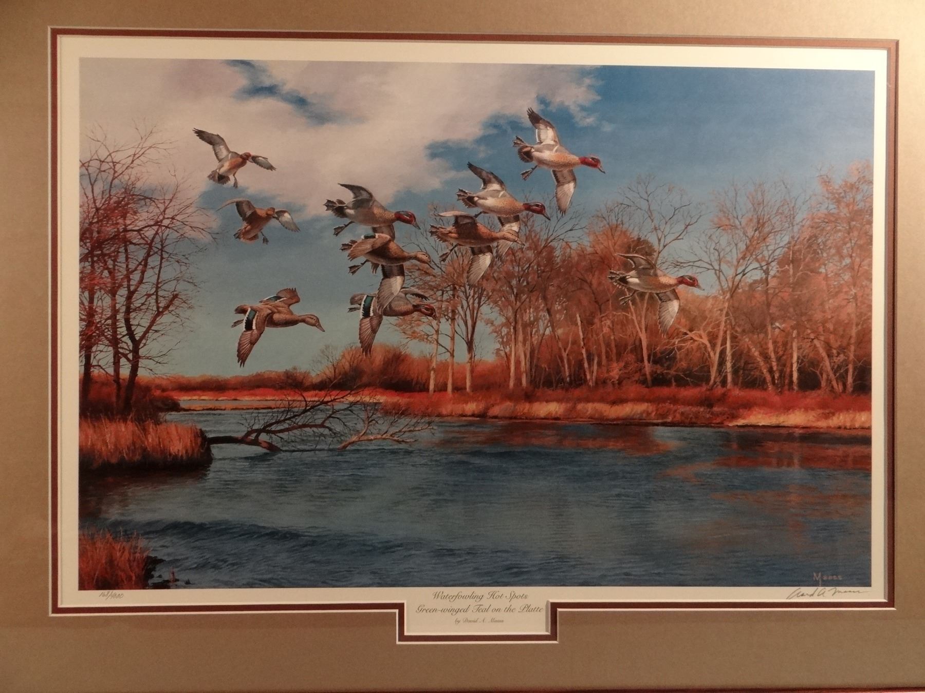 David A. Maass, Waterfowling Hot Spots Green-winged Teal on the Platte ...