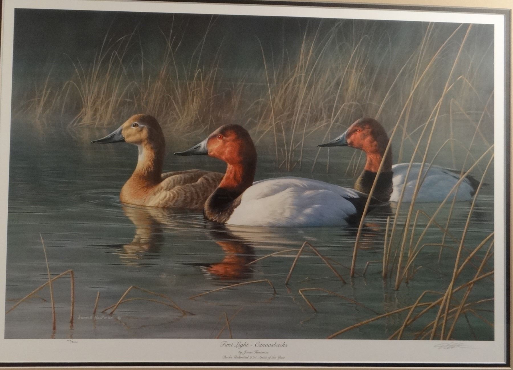 James Hautman, First Light-Canvasbacks, 148/3200, signed, DU 2011 ...