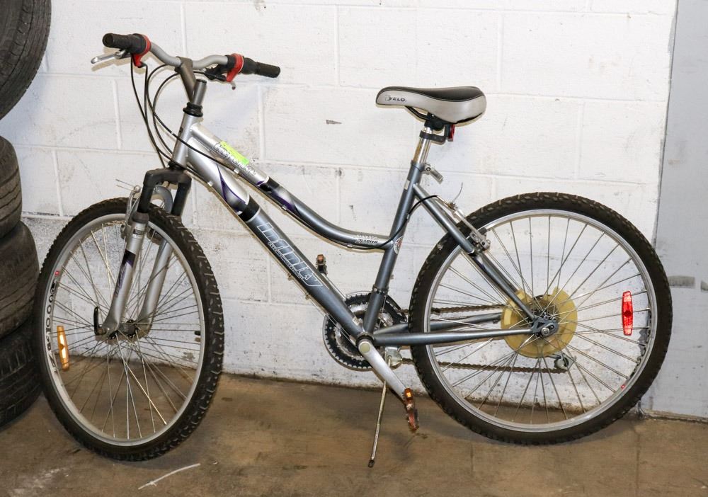 INFINITY SHIMANO TOFINO BIKE - Kastner Auctions