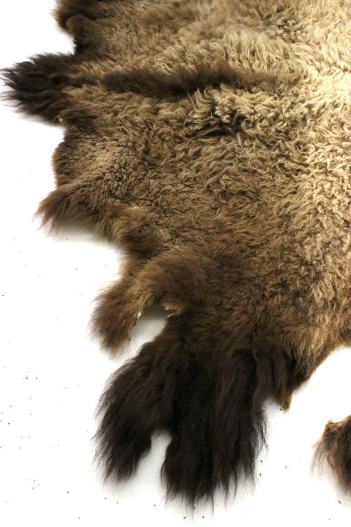 Montana Wild Buffalo Trophy Winter Fur Hide Rug