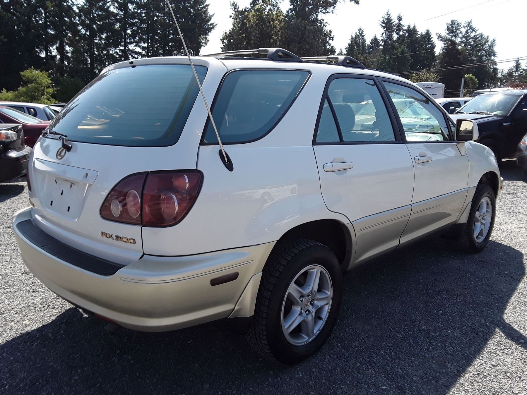 D5 -- 2000 LEXUS RX 300 , White , 226328 KM's