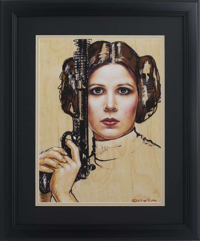 Princess Leia 16x23 Custom Framed Print Display