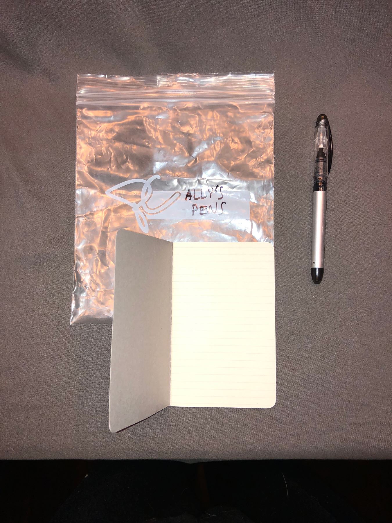 The Silence - Kiernan Shipka "Ally Andrews" lot (0009)