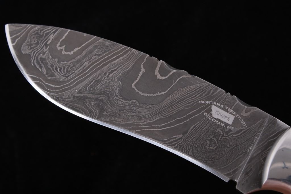 M.T. Knives Rams Horn & Damascus Recurve Knife