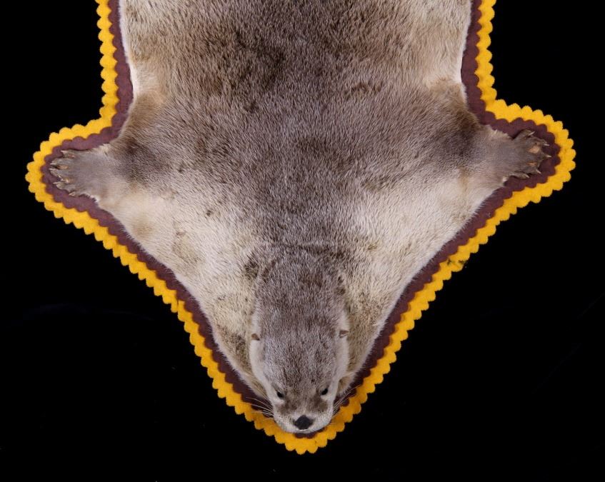 Excellent Montana Taken Otter Double Felted Rug