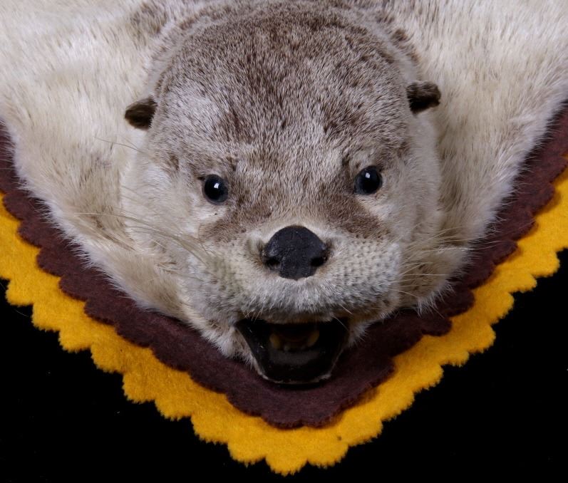 Excellent Montana Taken Otter Double Felted Rug