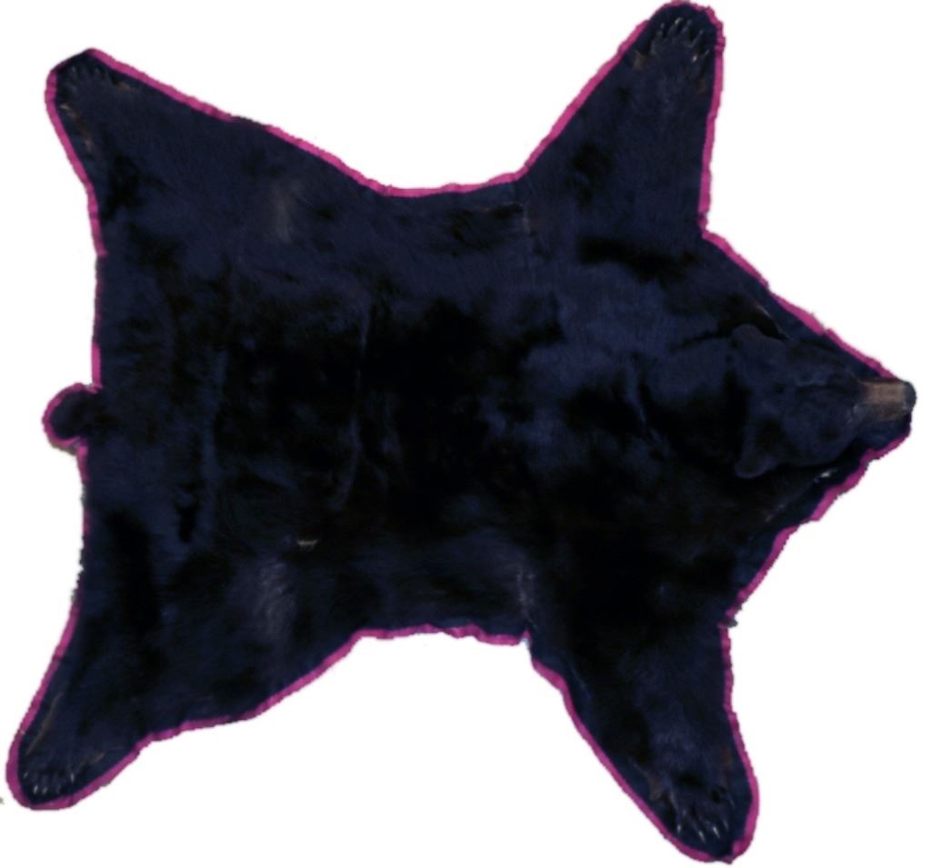 Montana Taken Taxidermy Black Bear Full Body Rug