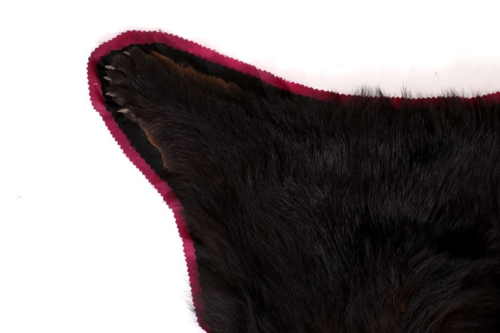 Montana Taken Taxidermy Black Bear Full Body Rug