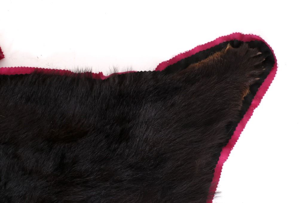 Montana Taken Taxidermy Black Bear Full Body Rug