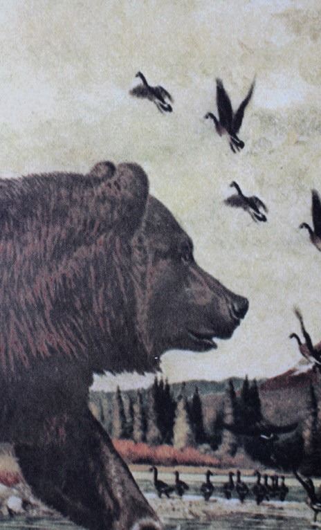 Yellowstone National Park Grizzly Bear Metal Sign