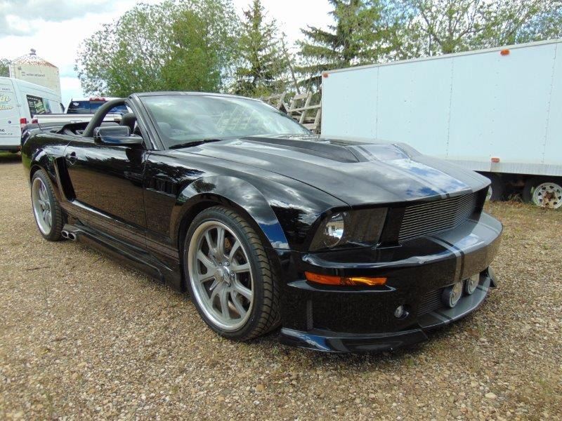 2006 Ford Custom Tribute Mustang