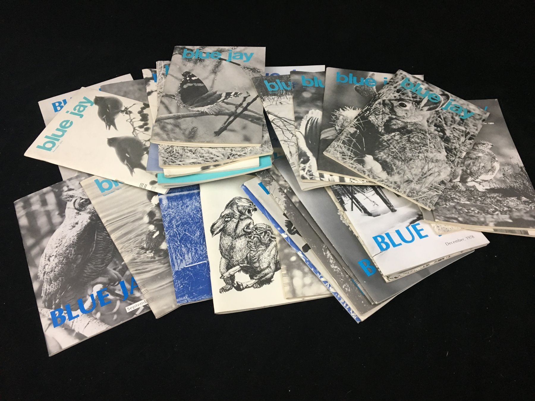 LOT OF 32 BLUE JAY QUARTERLY MAGAZINES (FROM 70s TO 80s) - Schmalz Auctions