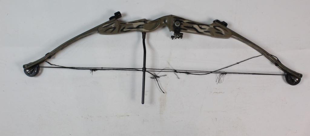 HOYT Fast Flite Compound Bow