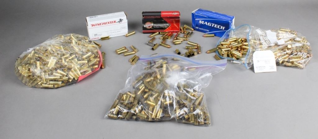 Box Lot of 38 Special Shells