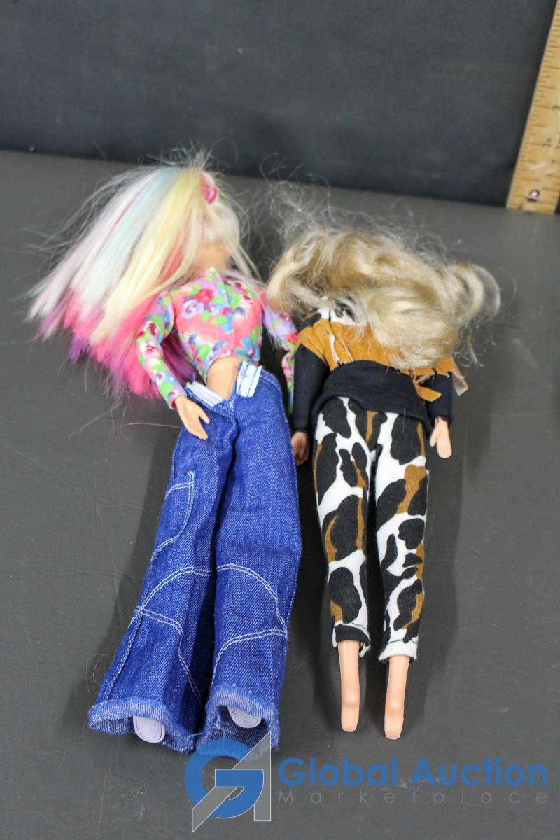 Variety: Barbie Dolls