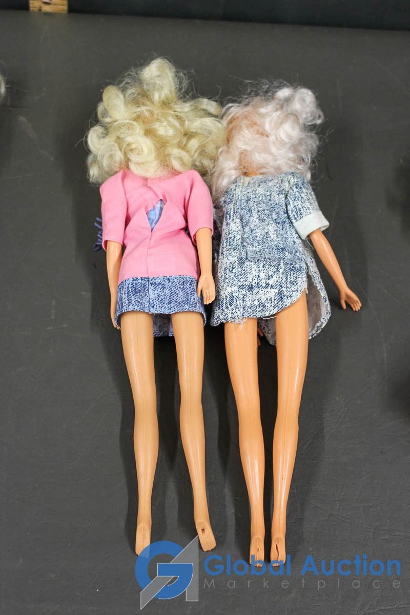 Variety: Barbie Dolls
