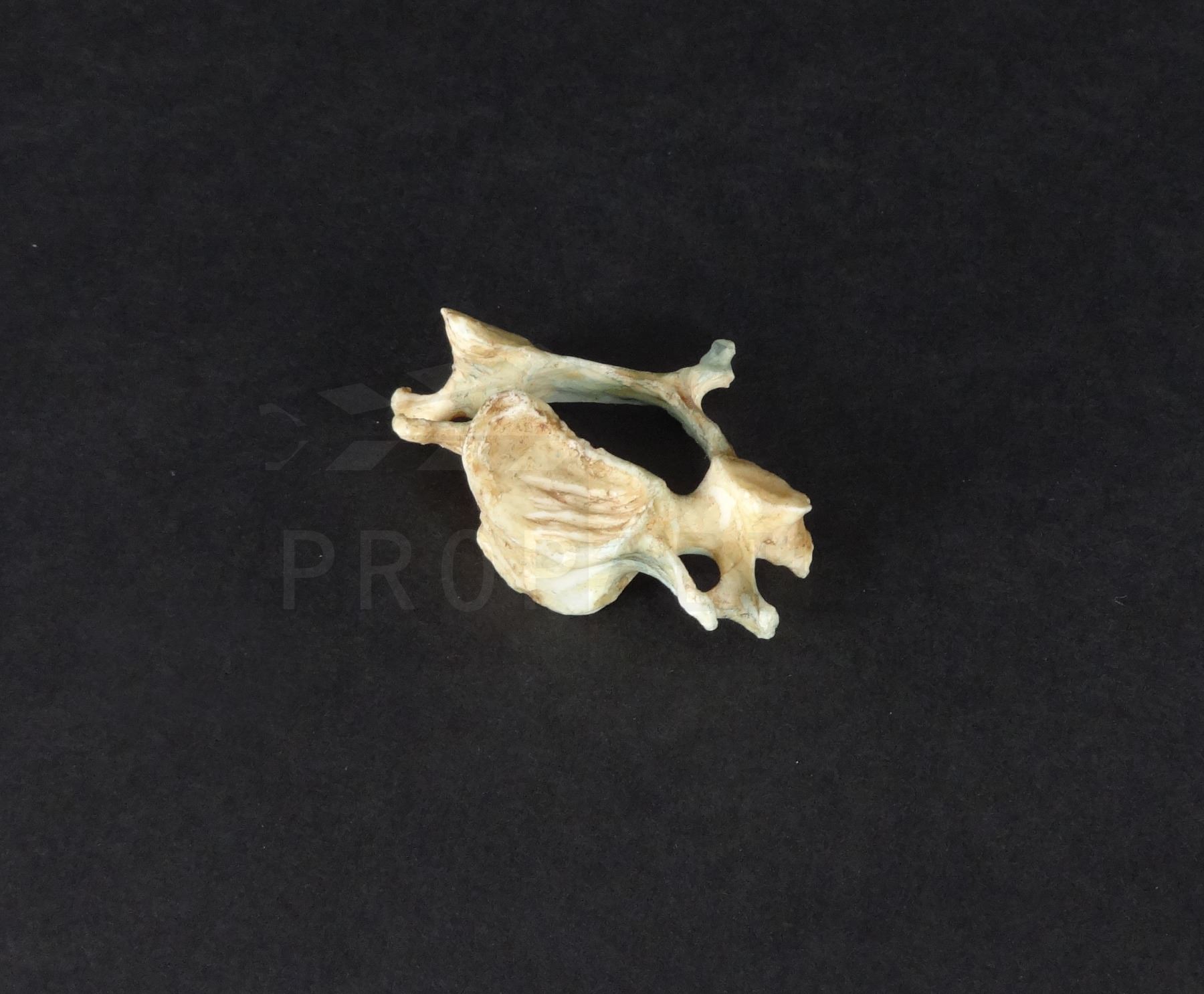 Bones - Toxic Waste Skeleton (S07E09) (0630)