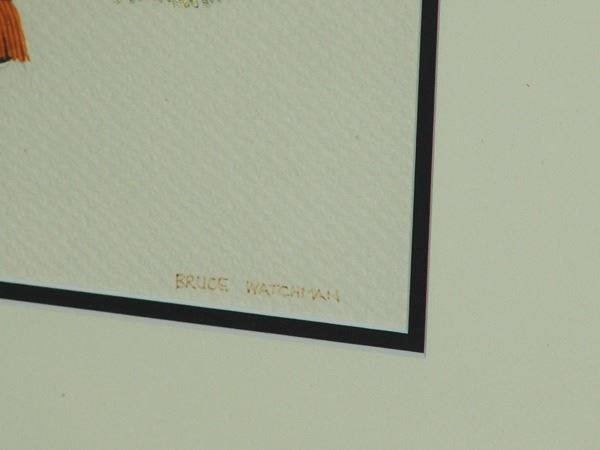 Bruce Watchman, NM (b. 1951)